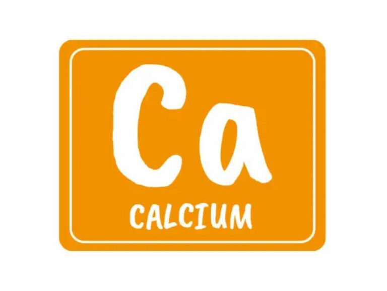 Vápník ve stravě králíků - Králičí deník | Králičí deník