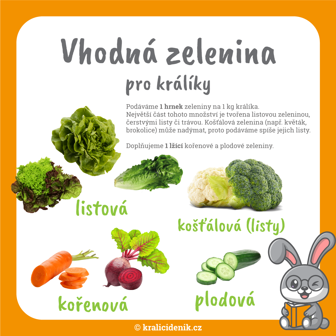 Vhodná a nevhodná zelenina pro králíky - Králičí deník | Králičí deník