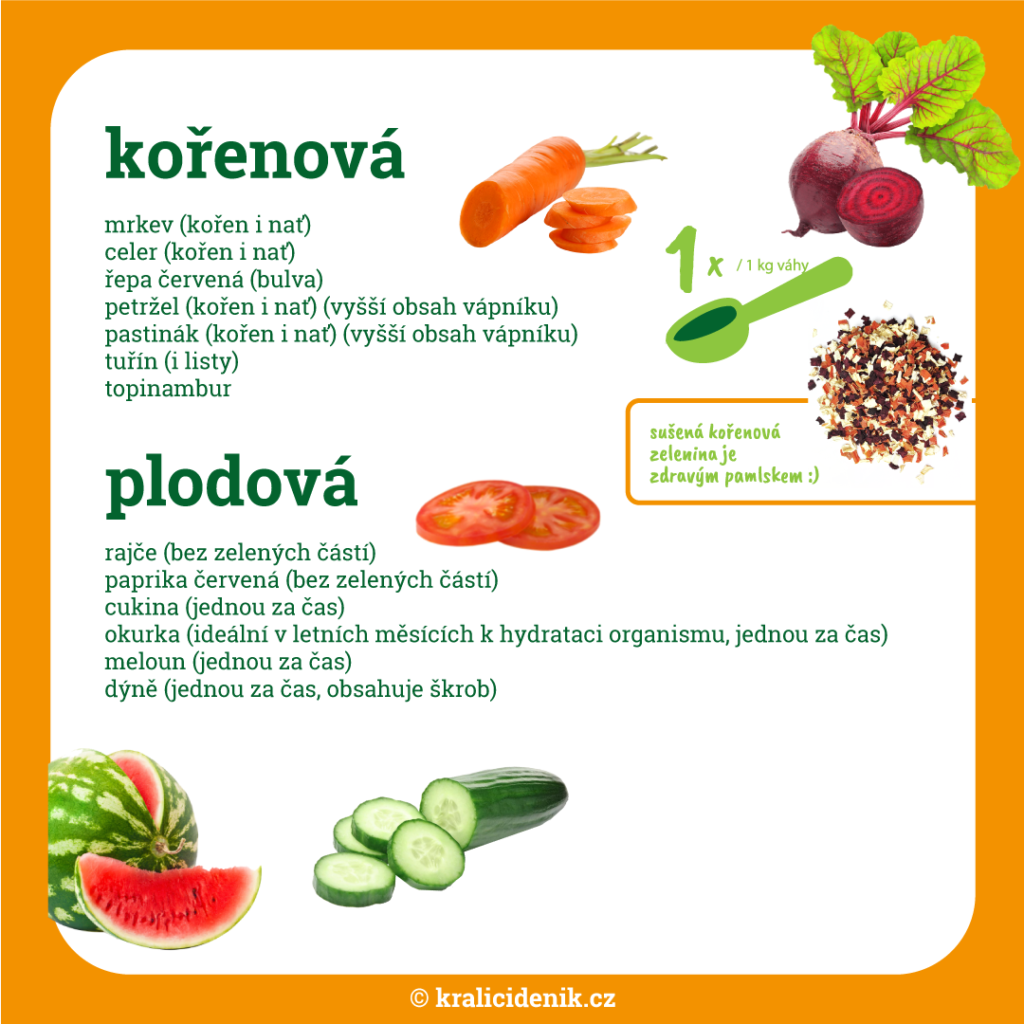 Vhodná a nevhodná zelenina pro králíky - Králičí deník | Králičí deník